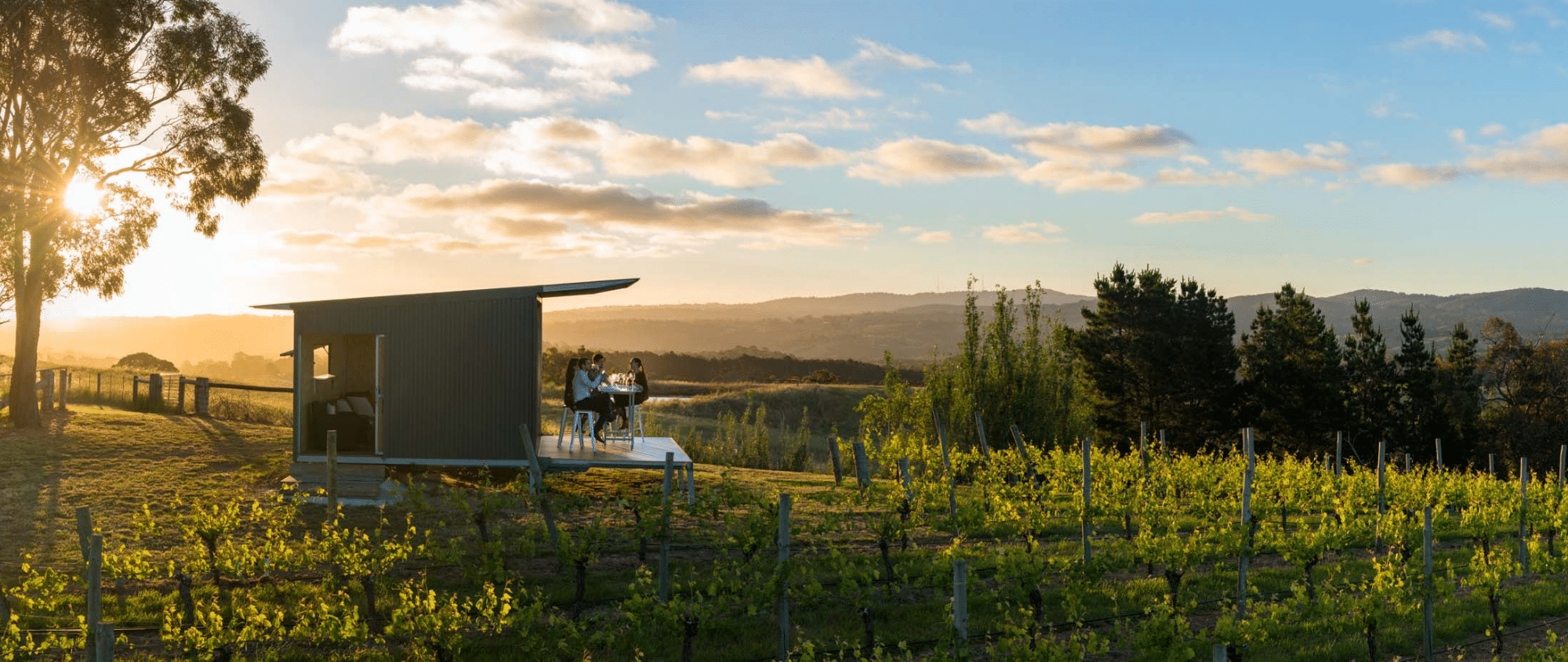 The Lane Vineyard - Home - The Lane Vineyard