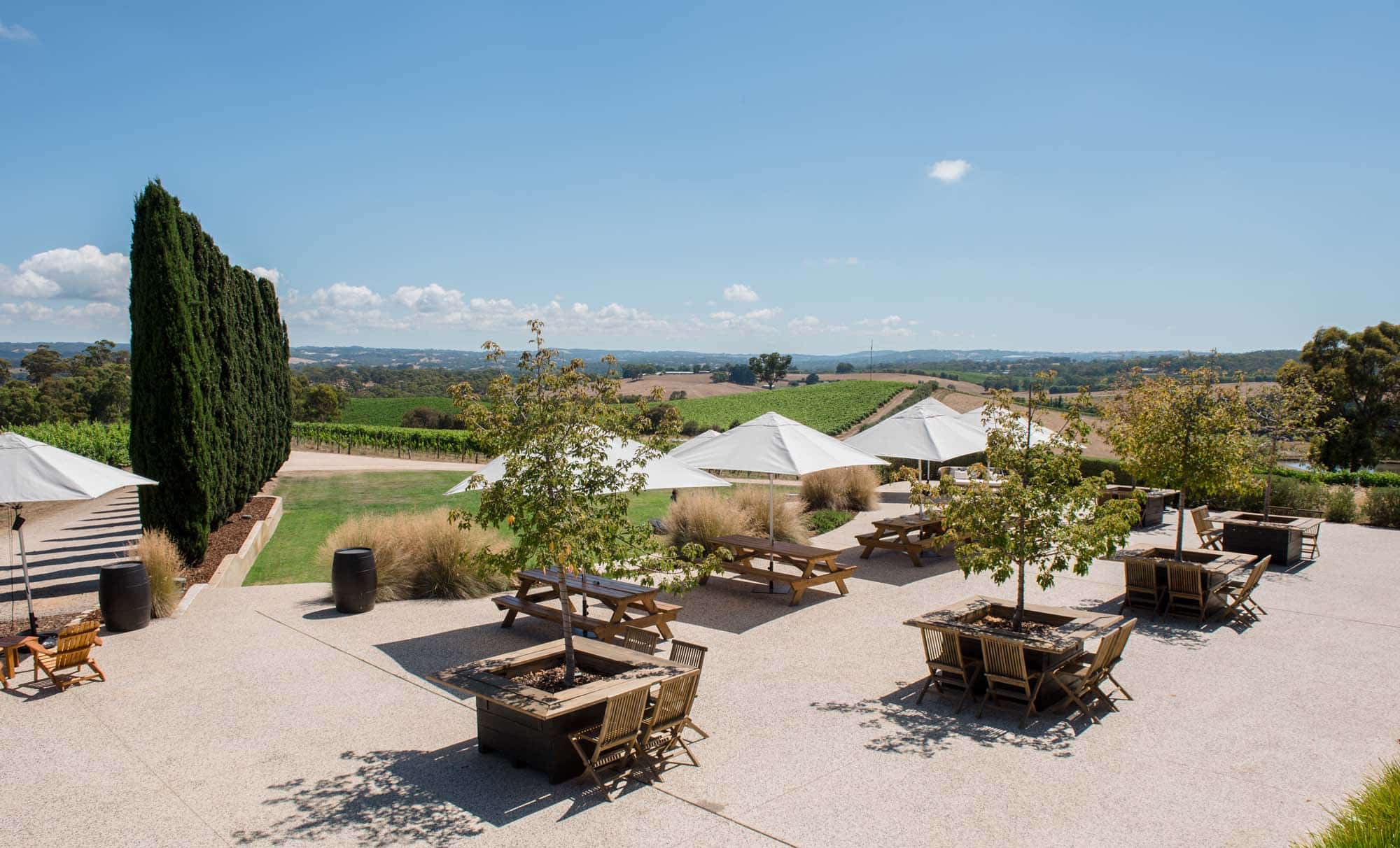 The Lane Vineyard - Home - The Lane Vineyard